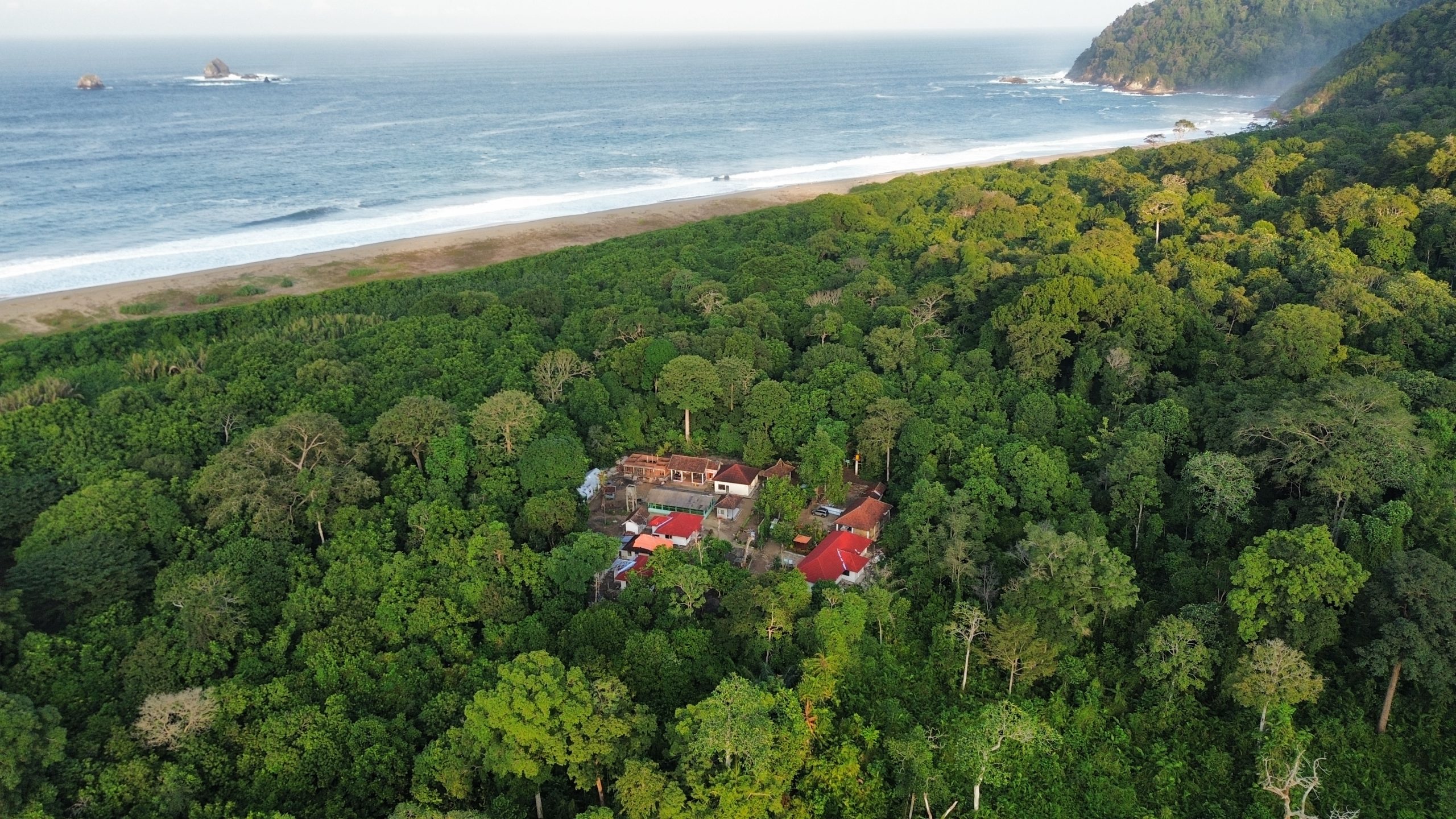 Home - Sukamade Turtle Tour