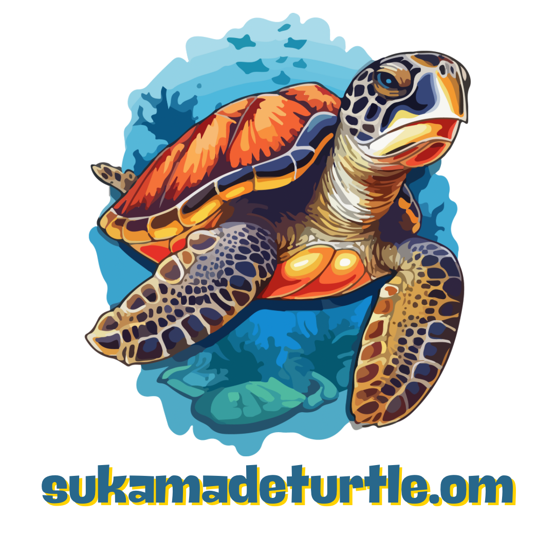 Home - Sukamade Turtle Tour